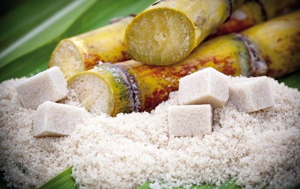 El azúcar, un producto natural energético - Proceso Digital