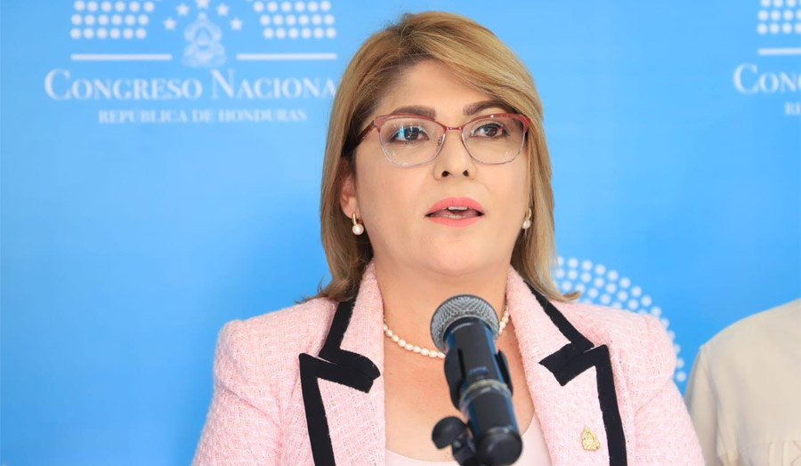 Director del IHSS declara crisis financiera en régimen IVM y plantea ...