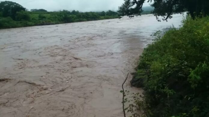 Río Ulúa en su caudal más elevado del año; inundaciones inminentes ...
