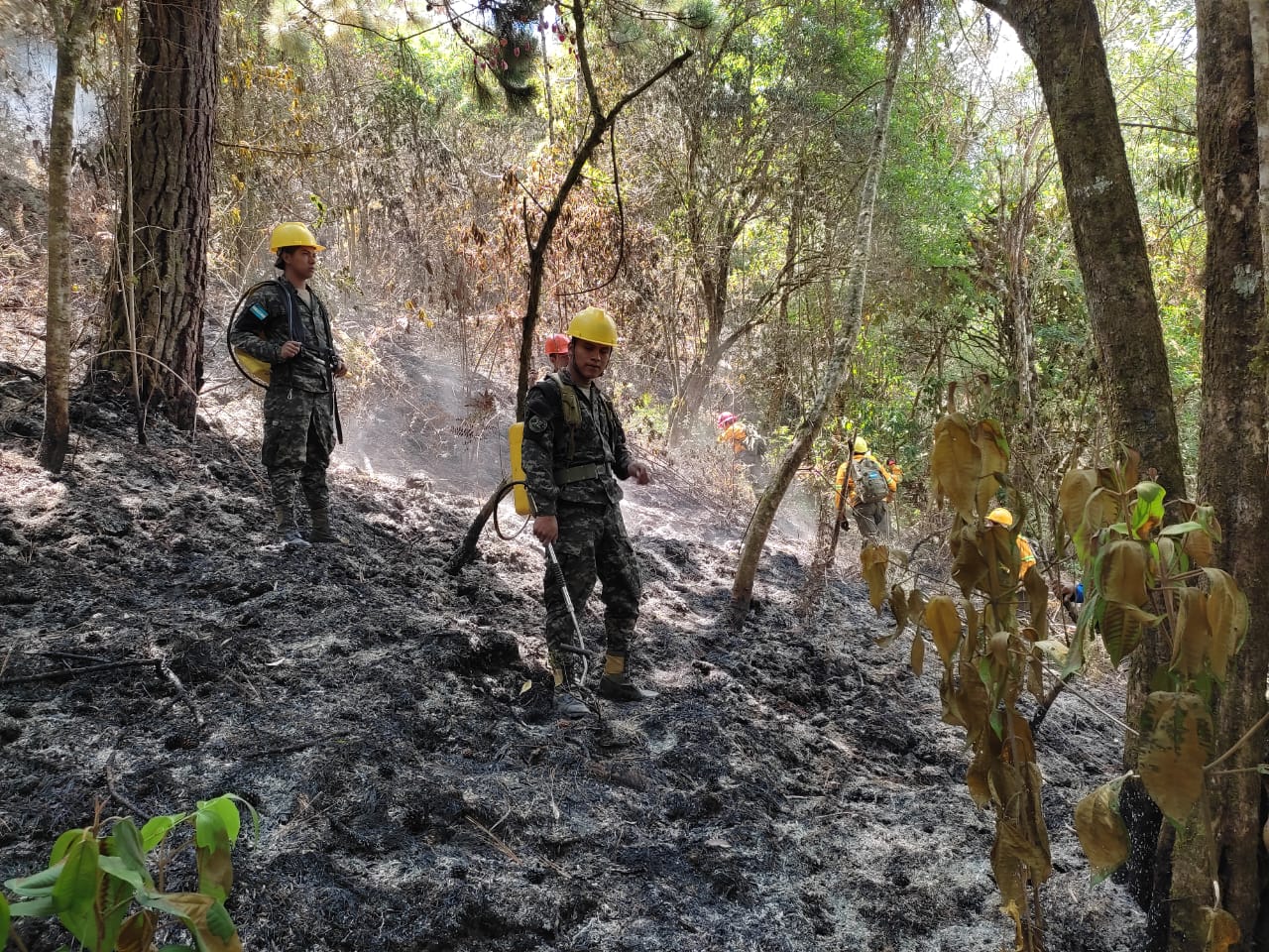 Incendios Forestales No Dan Tregua En Honduras Proceso Digital