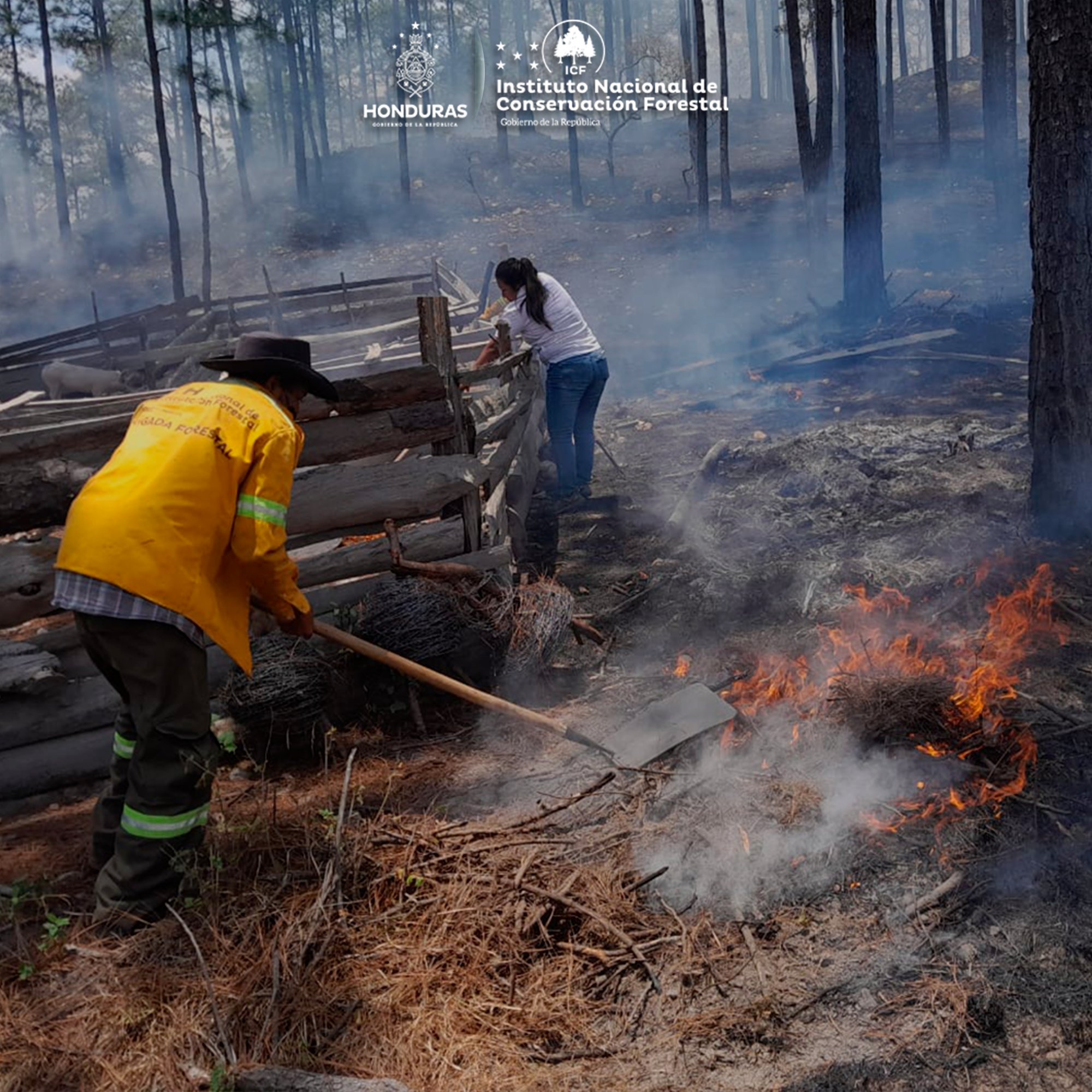 Incendios Forestales No Dan Tregua En Honduras Proceso Digital