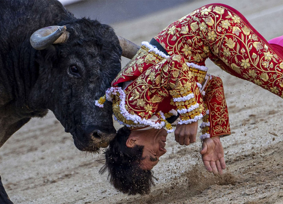 Toros en Las Ventas - Proceso Digital