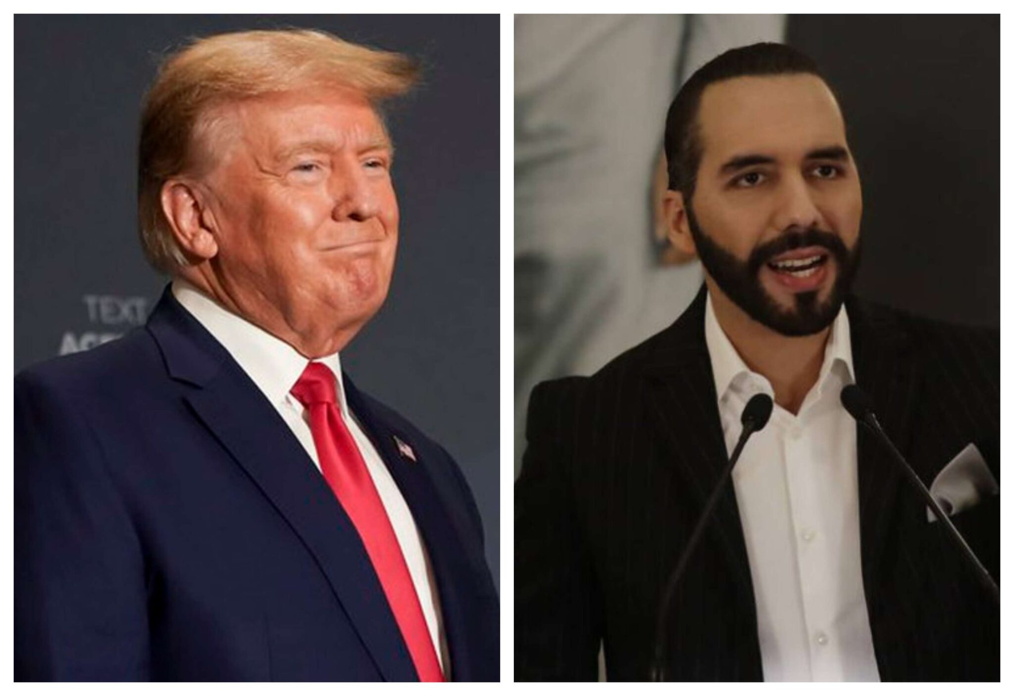 Nayib Bukele aterriza en EEUU, donde el lunes se reunirá con Donald ...