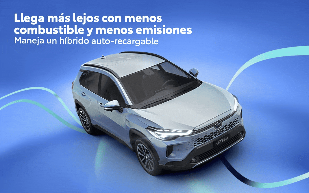 Inicio - Proceso Digital