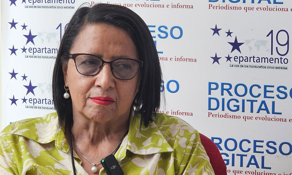 Dina Meza advierte sobre el desmantelamiento institucional y la asfixia ...