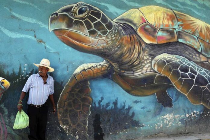 Arte en las calles de Cantarranas - Proceso Digital